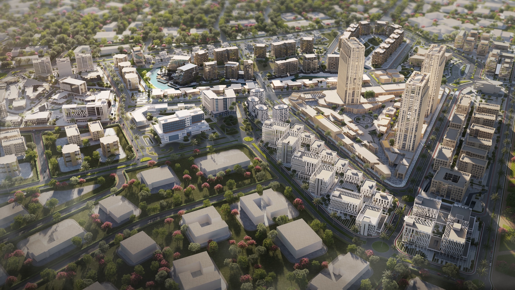 205 Newsroom – Updates & Press Releases from 205 Arkan Palm