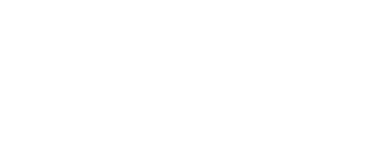 About the Developer – Arkan Palm Behind 205 Towers